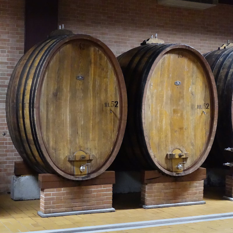 Five days in Barolo: A visit at Giacomo Conterno with Roberto Conterno ...